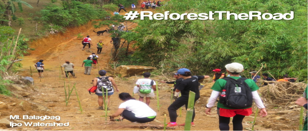 DENR, Protect the Trees! – Sangguniang Laiko ng Pilipinas